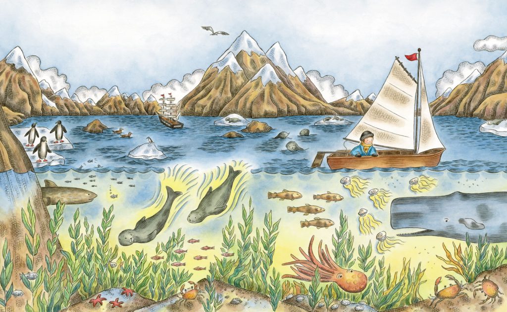 CHARLES DARWIN’S AROUND-THE-WORLD ADVENTURE ~ Under the Sea – Jennifer ...